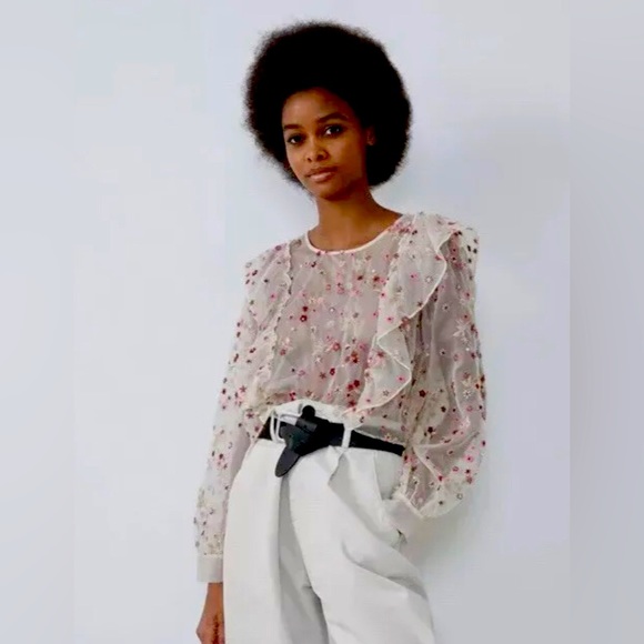 Zara | Tops | Zara Flora Organza Blouse | Poshmark